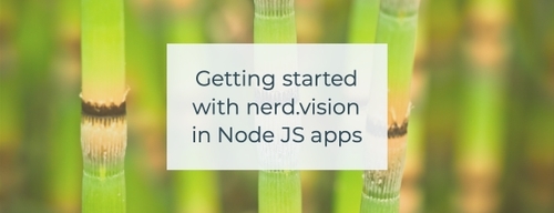 Getting started with nerd.vision in Node.js applications | nerd.vision